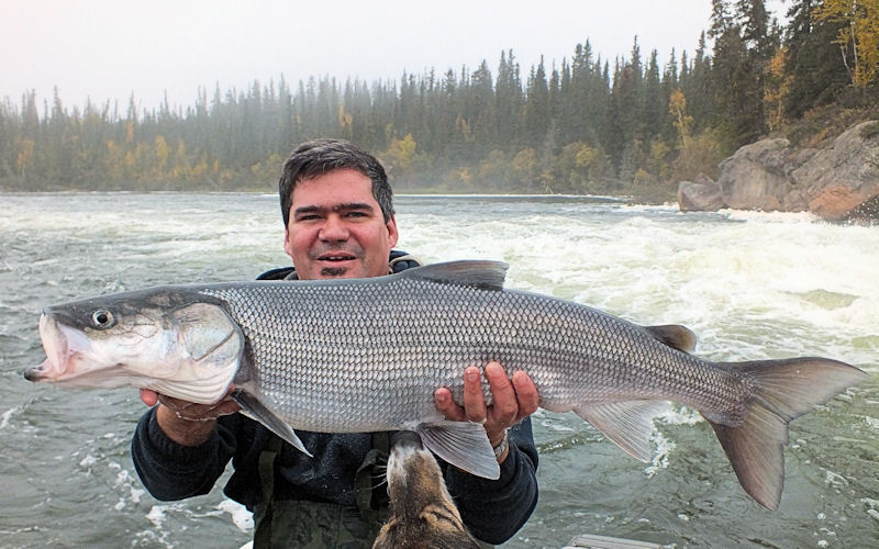 헝그리앱 - 낚시의신 실사어류도감 SEASON 21 비밀낚싯터 준보스&보스물고기 : 낚시의신